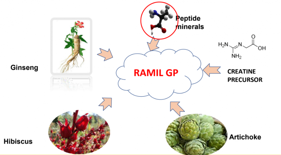 MODE OF ACTION OF RAMIL GP - A COMPREHENSIVE SOLUTION FOR MARKET HOGS