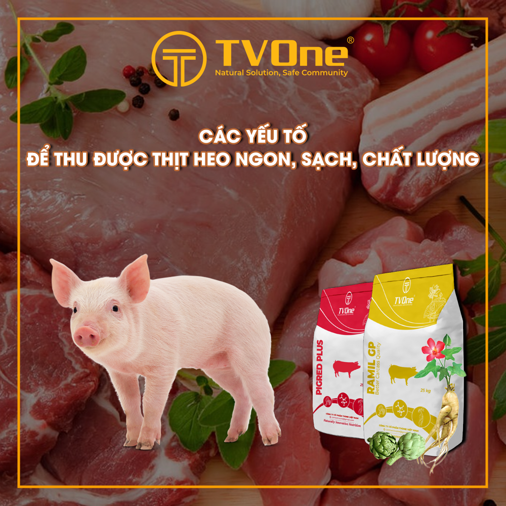 CÁC YẾU TỐ ĐỂ THU ĐƯỢC THỊT HEO NGON, SẠCH, CHẤT LƯỢNG